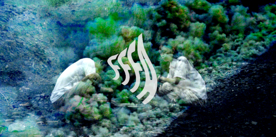 Review: ‘Monisme’ is a Bold yet Bemusing Ethnography Project – Rough Cut