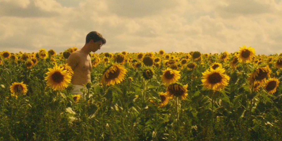 Review: ‘Sunflower’ is Too Sentimental an Education – Rough Cut