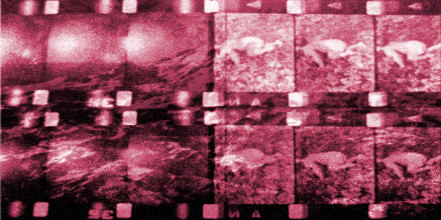 Beyond the Frame: A Q&A with Moviejuice Programmers Shea Gallagher and ...